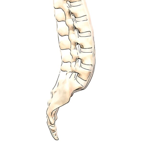 Spinalkanalstenose - Flexmate - Faszientools